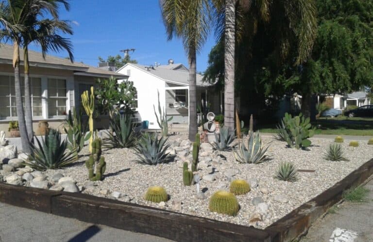 24 Tips to Building a Drought-Tolerant Yard – BackYardWay