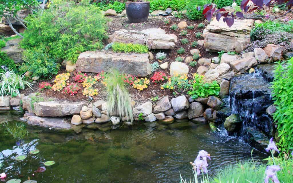The Complete Old Pond Guide: Draining, Refilling, and Maintenance ...