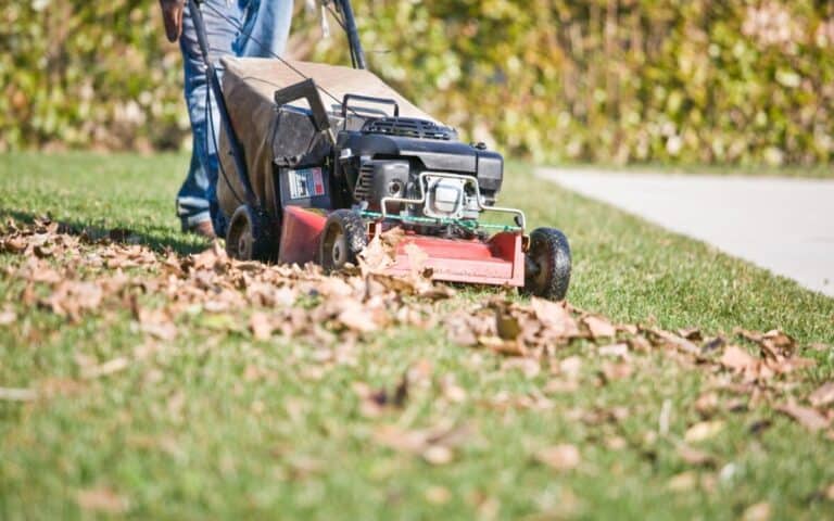 Complete Guide to Yard Maintenance for New Homeowners – BackYardWay