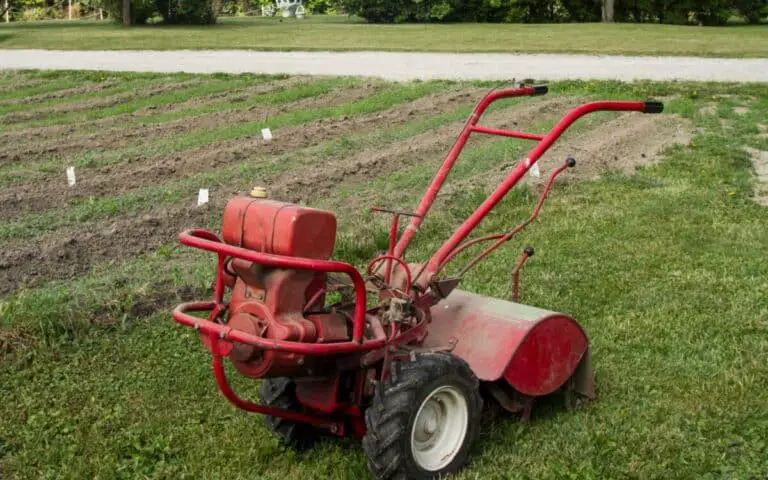 Should You Rototill Your Lawn Before Seeding? – BackYardWay