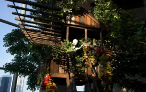 A Guide to Building a Suspension Bridge for a Treehouse – BackYardWay